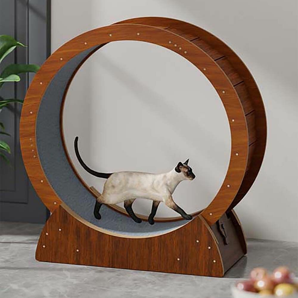 Кот Беговая дорожка, Спортивные товары для домашних кошек -jua