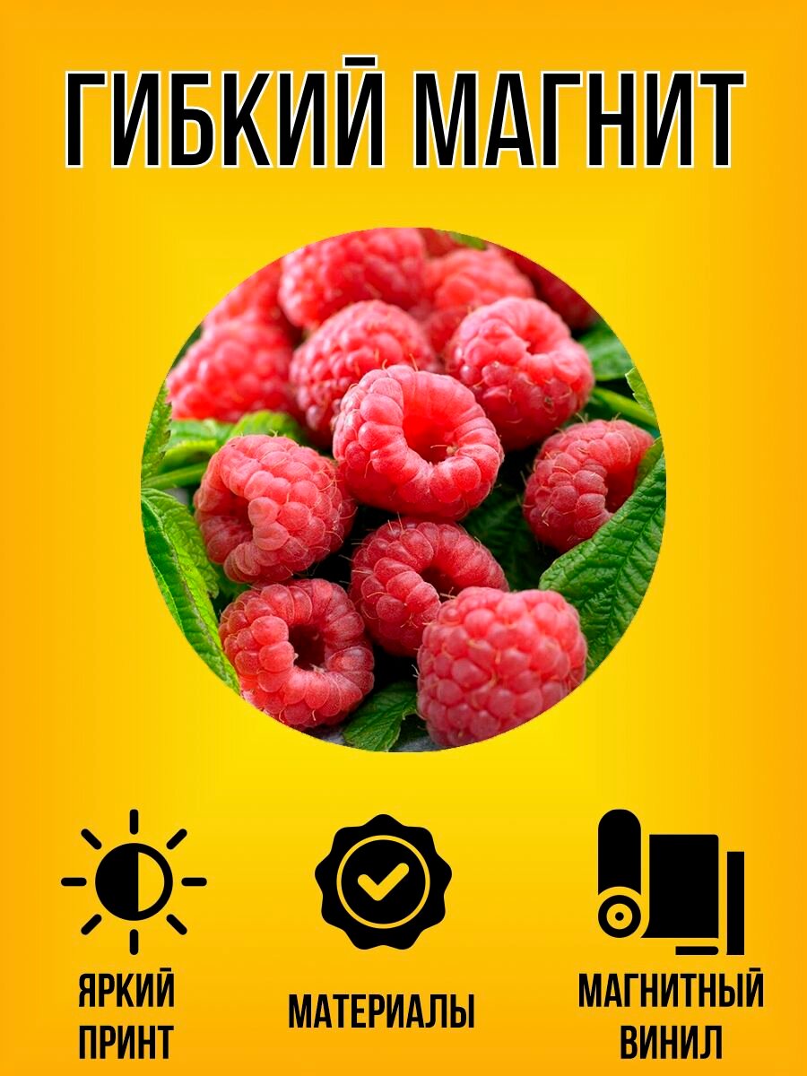 Магнит гибкий круглый с принтом Малина