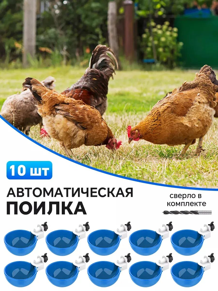 Набор из 10 синих автоматических поилок для кур