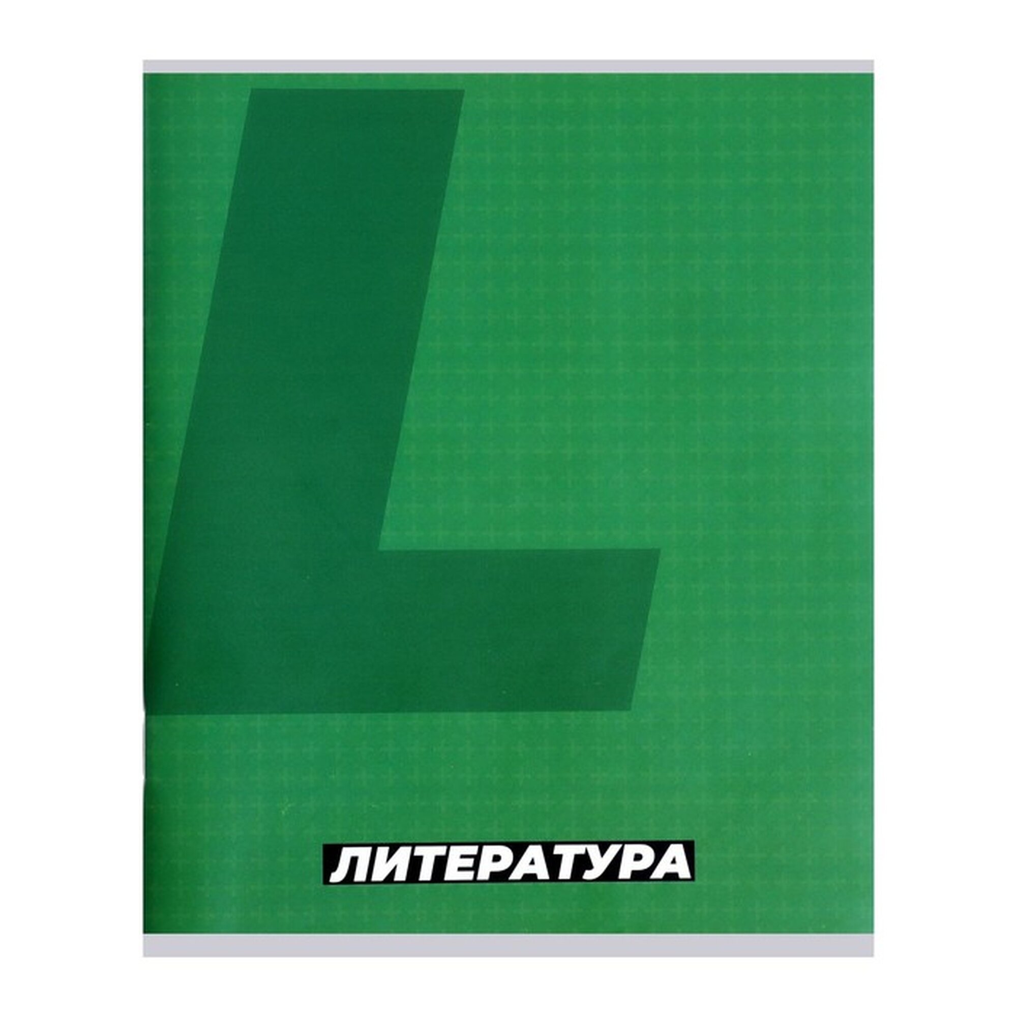 Тетрадь предметная 36 листов в линию, Calligrata "MonoTone. Литература», обложка мелованная бумага, серые листы