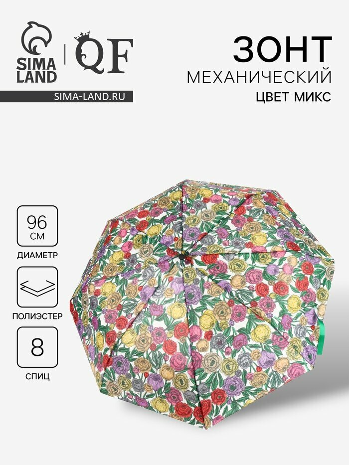 Зонт