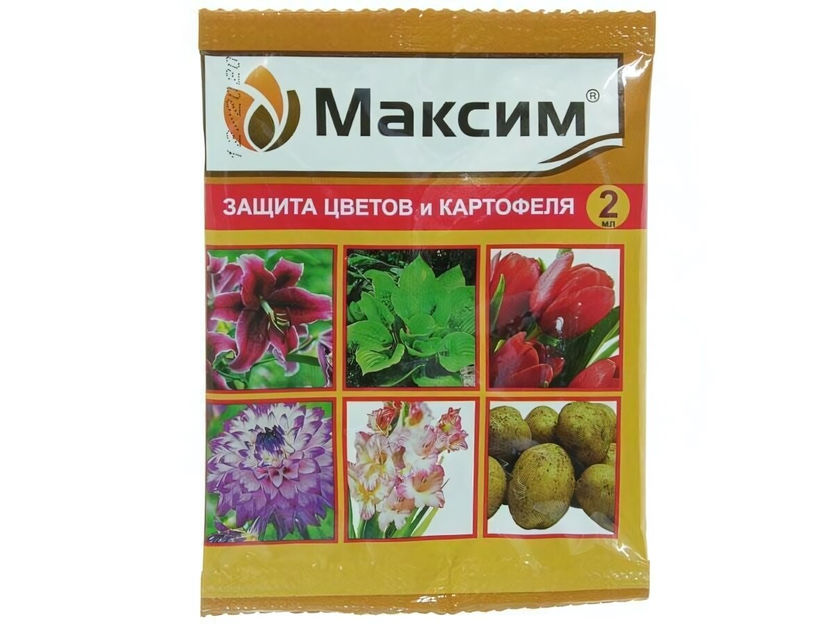 Максим протравитель луковичных ампула 2мл — защита от болезней, создание барьера