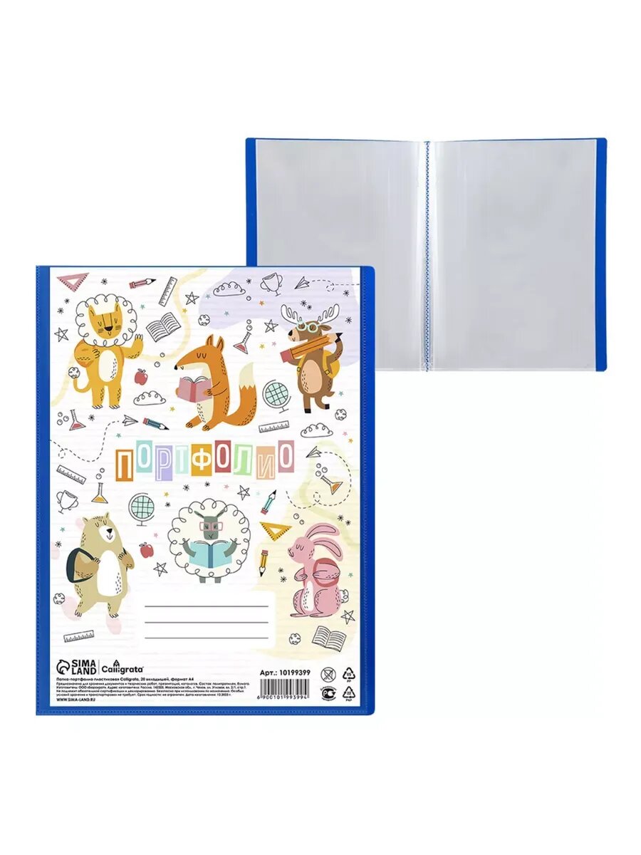 Папка-портфолио Команда