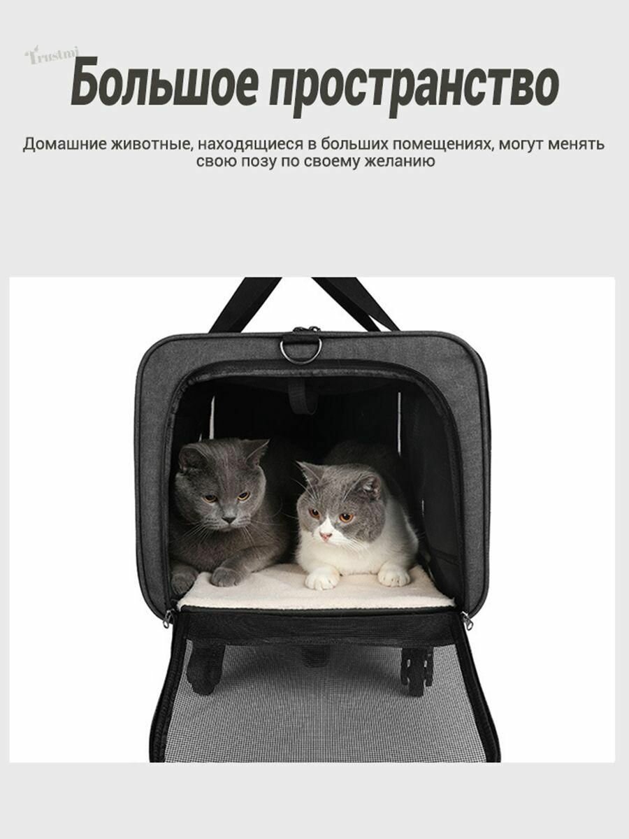 Переноска — фото 1