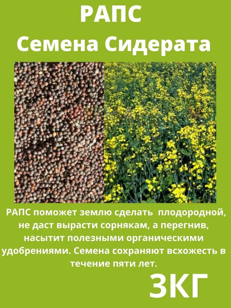 Рапс семена сидераты 3 кг