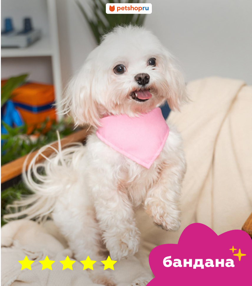 Tappi одежда Бандана "Баден", розовая, размер S, ош 18 см - 32 см