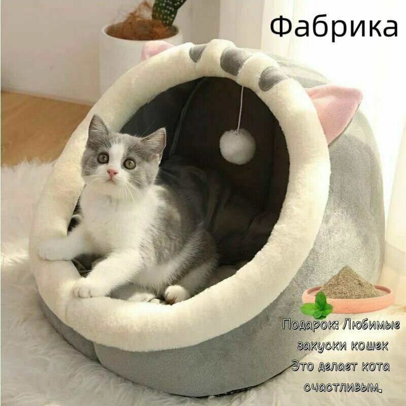 Корзина для домашних животных, комфортабельный котенок, котенок, кот.