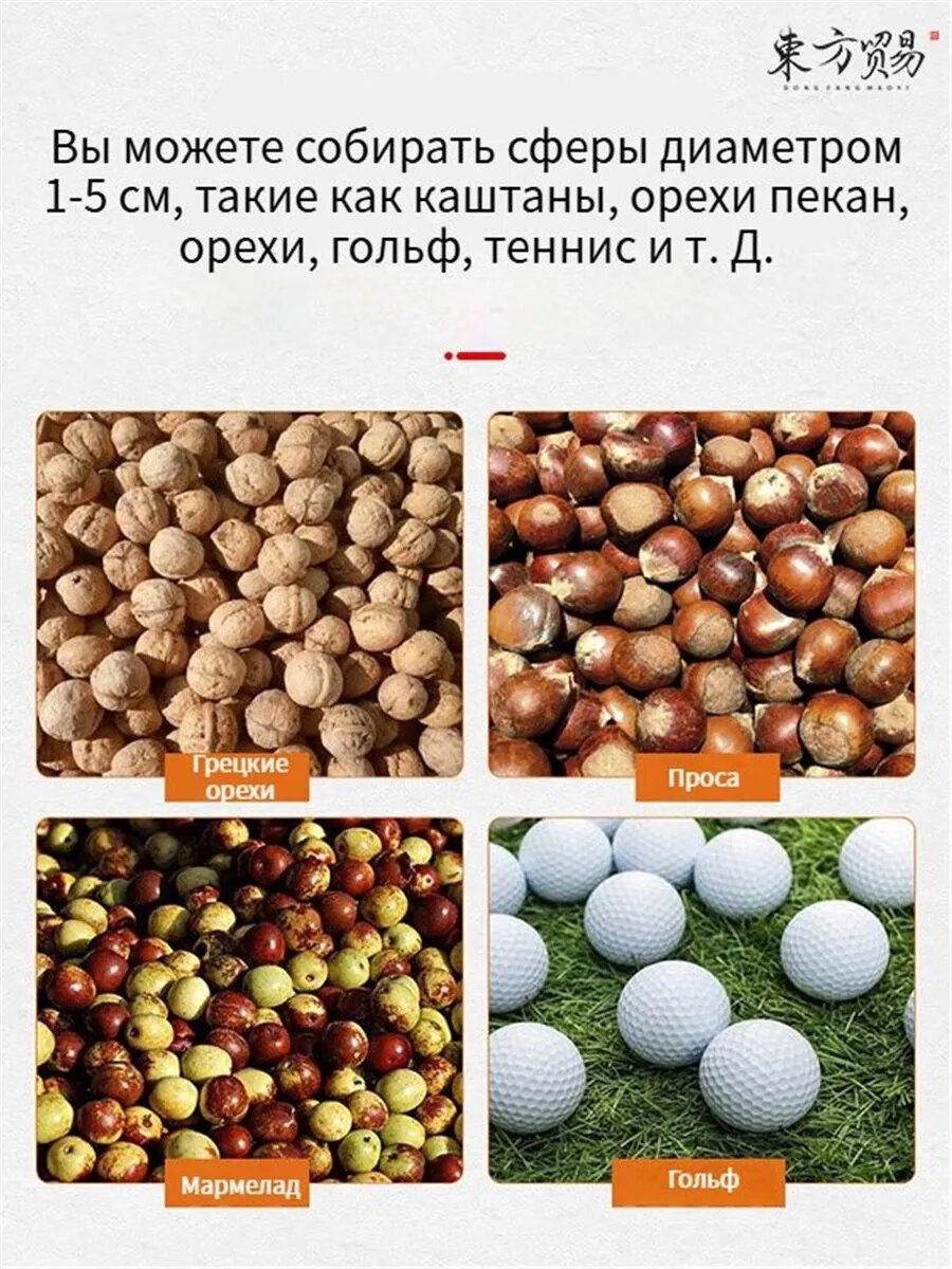 Сборщик орехов — фото 1