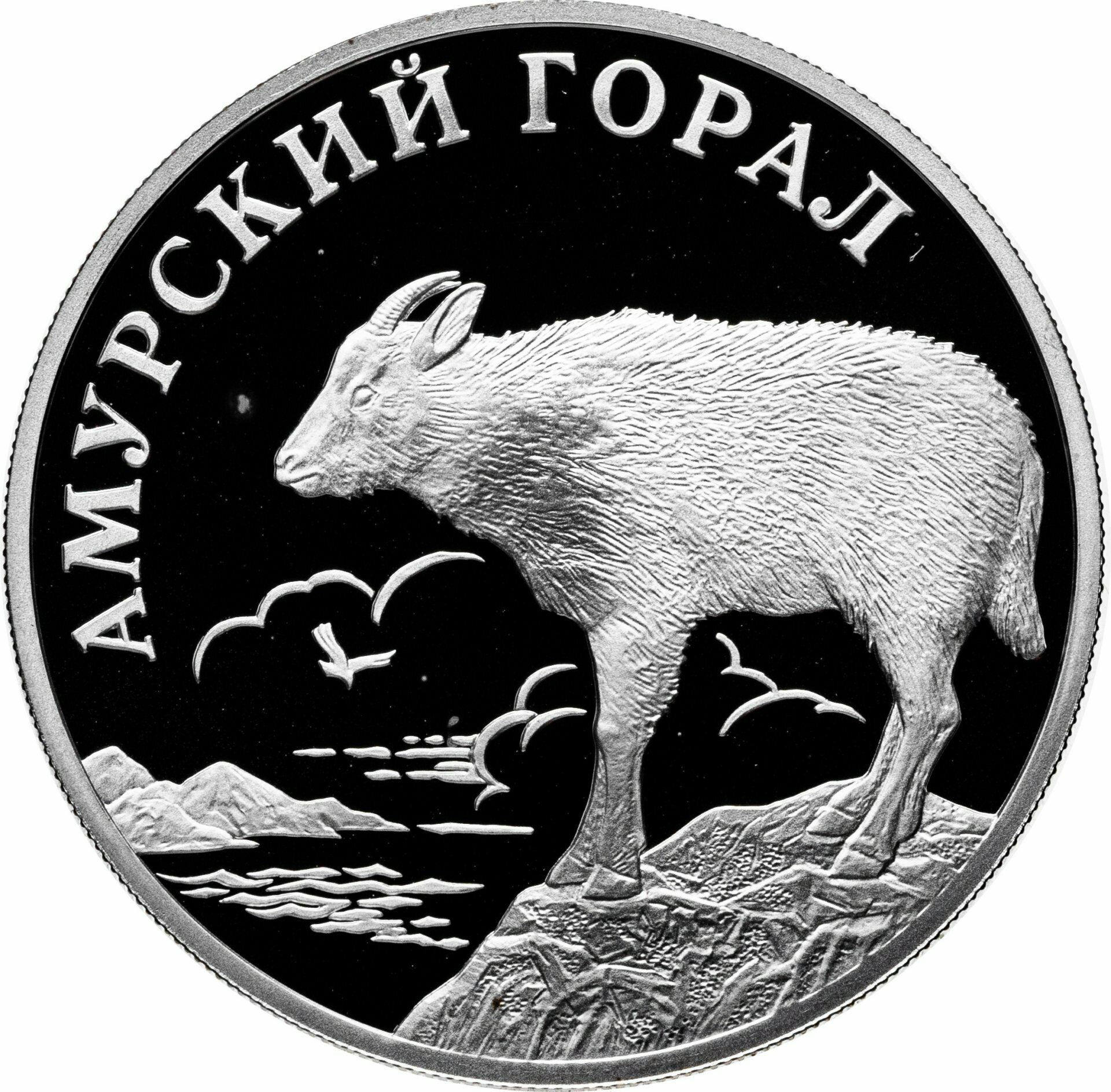 1 рубль 2002 СПМД Proof "Красная книга - Амурский горал" в капсуле, Серебро 900