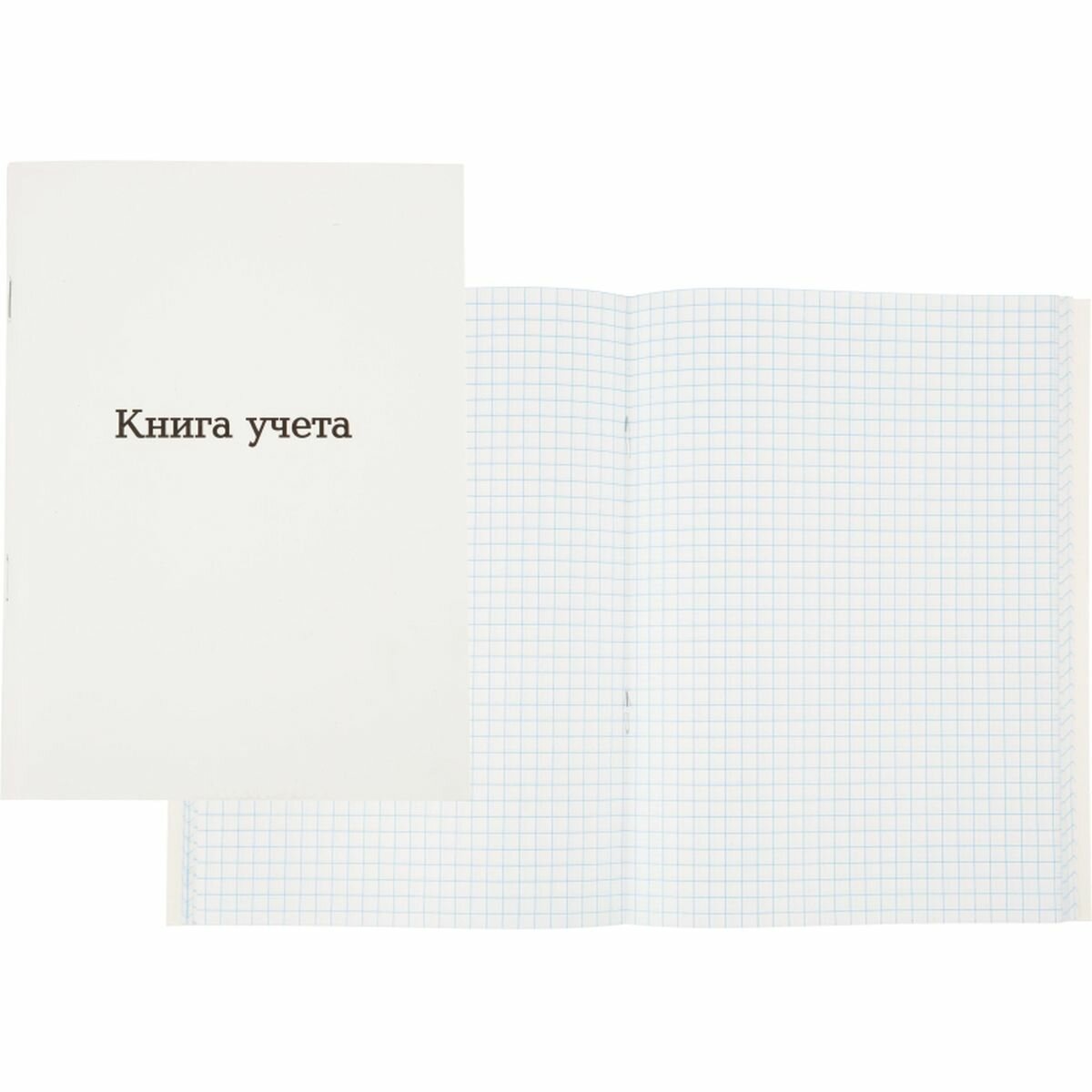 Бухгалтерская книга учета Attache (А5, 96л, клетка, офсет, скрепка, картон мелованный) (1805249)