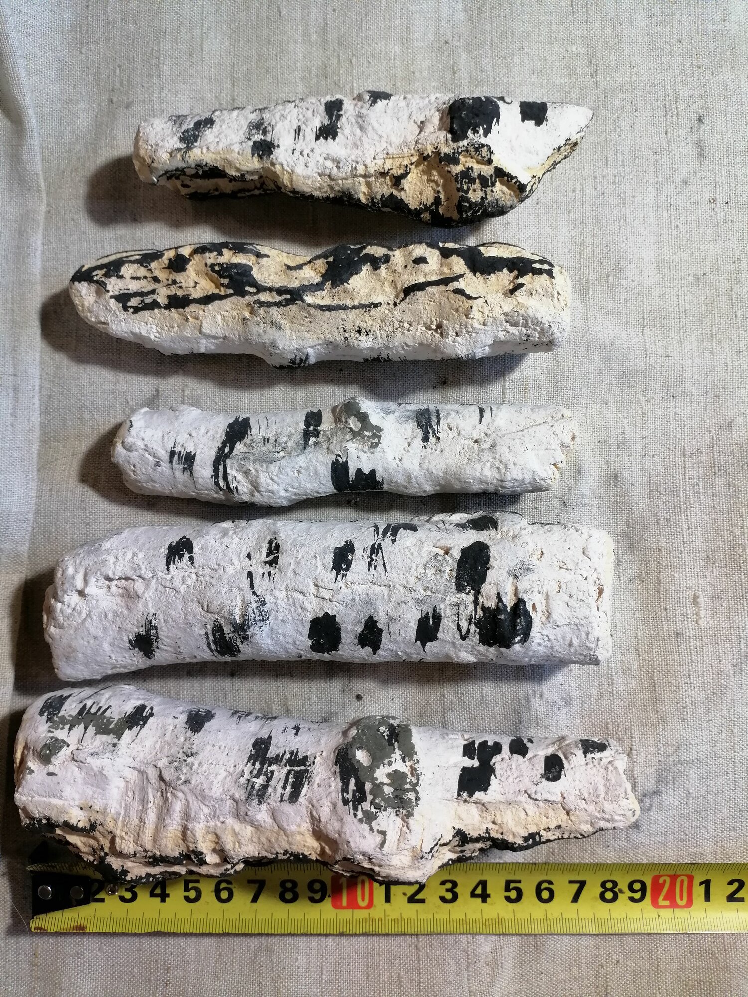 Дрова для биокамина берёза лофт, 5 шт, 15-20 см.