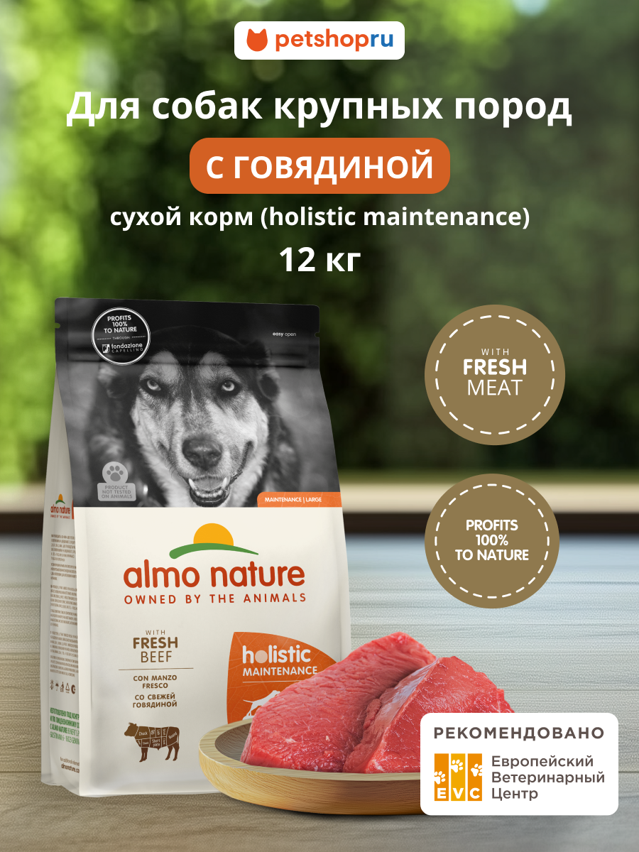 ALMO NATURE HOLISTIC Сухой корм для взрослых собак крупных пород со свежей говядиной, Life Maintenance, Large Breed, Fresh Beef, 12 кг