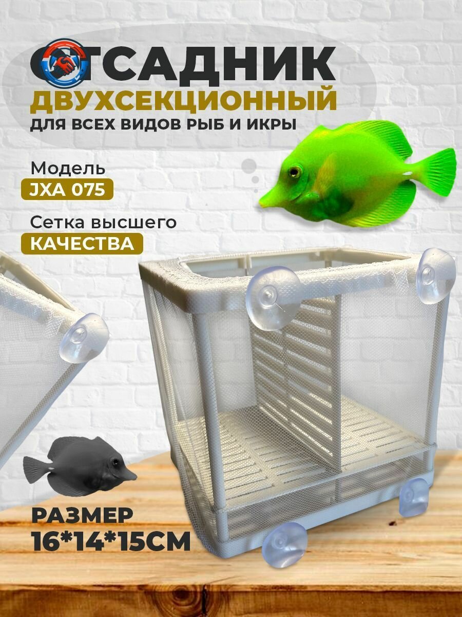 Двухсекционный отсадник для мальков рыб с сеткой, аквариумный инкубатор для разделения и выращивания потомства, удобный аксессуар для аквариумиста