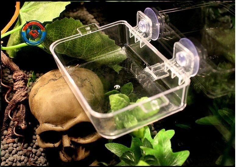 Кормушка-поилка для рептилий и насекомых, присоска, стекло/акрил, экономия места в террариуме, универсальный аксессуар для игуан, пауков, жуков