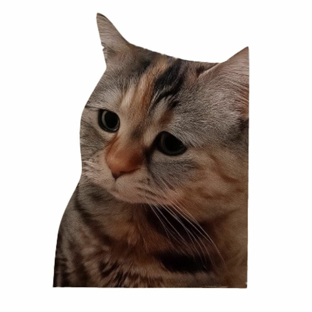 Наклейка на авто Кот мем