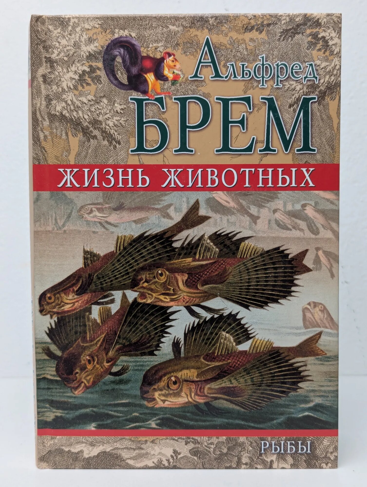 Жизнь животных. Том I. Рыбы Брем Альфред Эдмунд 2008
