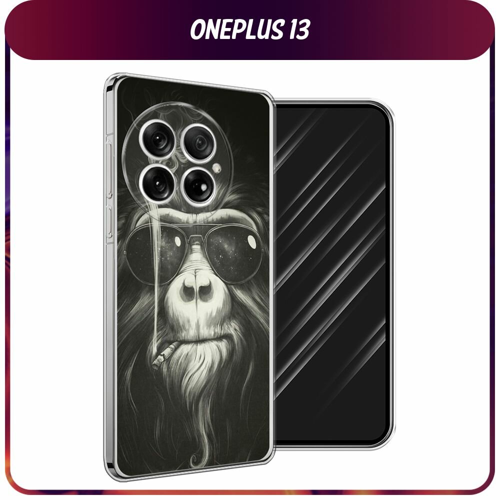 Чехол на OnePlus 13 / Ван Плас 13 с принтом "Обезьяна в очках"