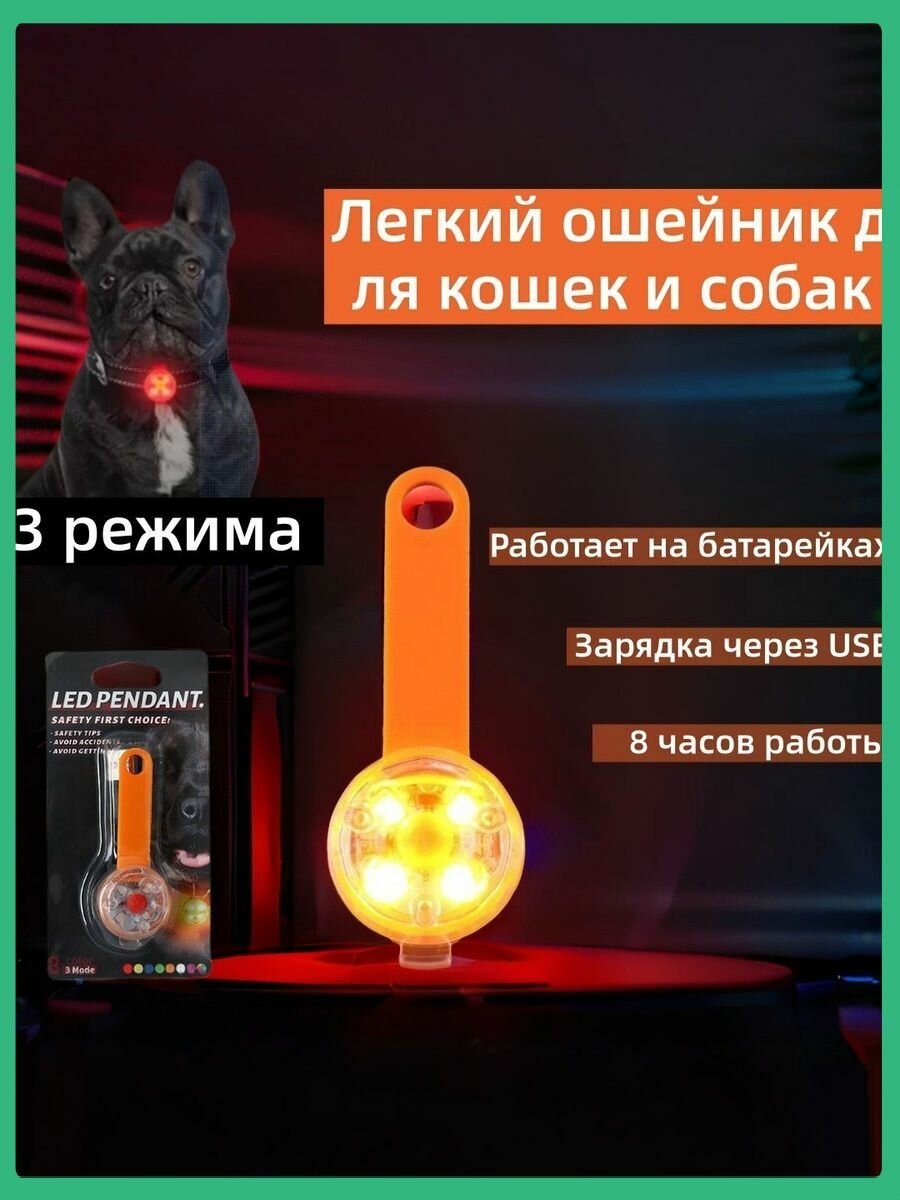 Брелок на ошейник — фото 1
