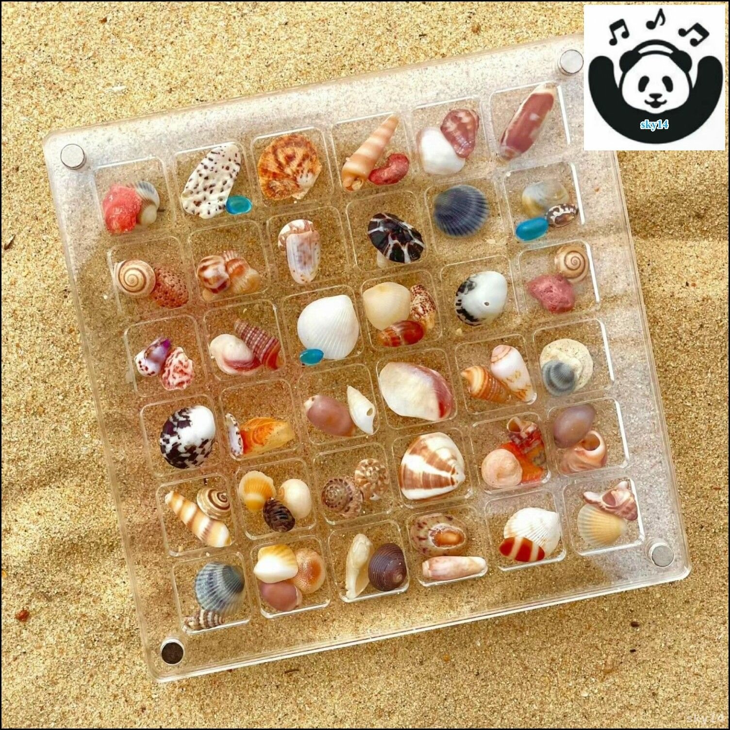 Эксклюзивный декор для дома из оргстекла своими руками 36 мест для ракушек конхи не входят