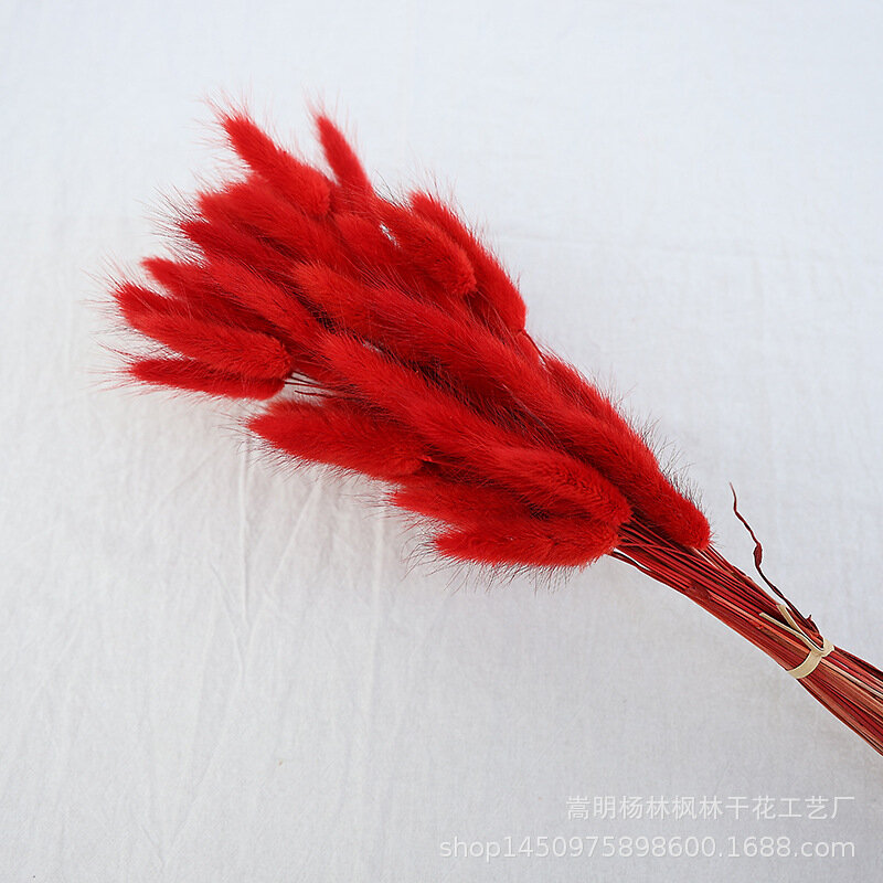 Пучок травы "Кроличий хвост", красный, 60 палочек