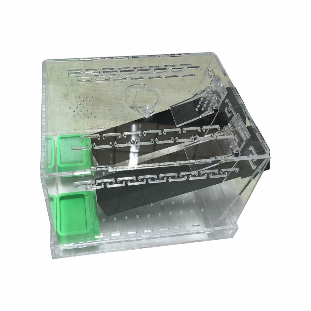 Контейнер для разведения сверчков с кормушками для еды и воды и контейнером с абсорбирующей ватой