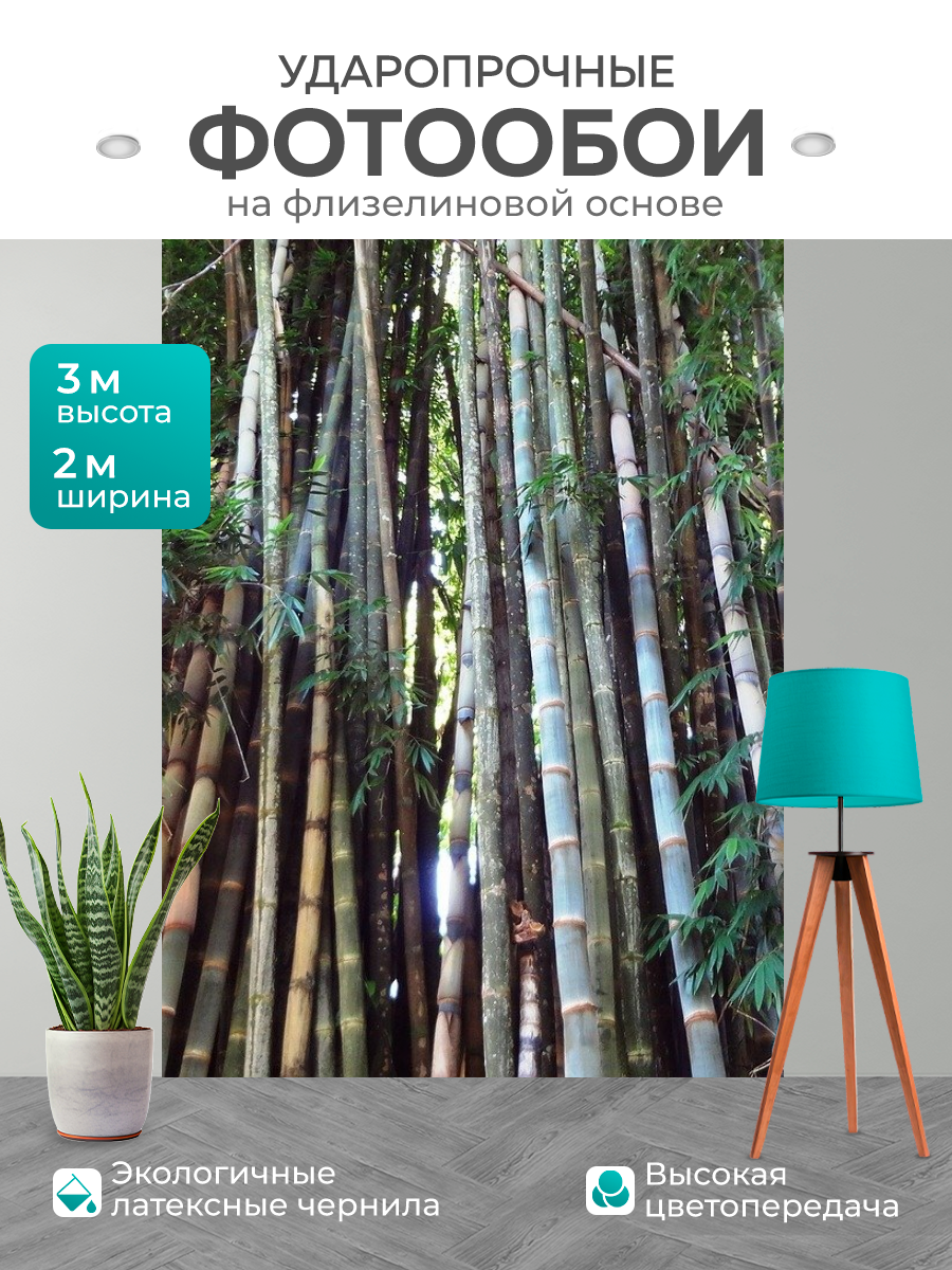 Фотообои моющиеся ударопрочные "Бамбук, бамбуковая роща" 200x300 см. флизелиновые на стену