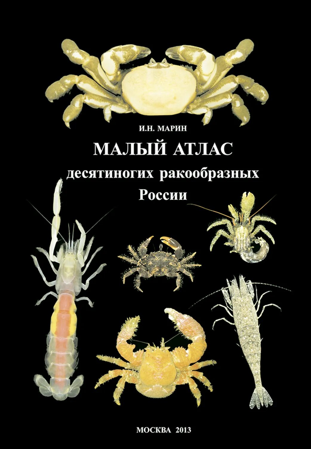 Малый атлас десятиногих ракообразных России [Цифровая книга]
