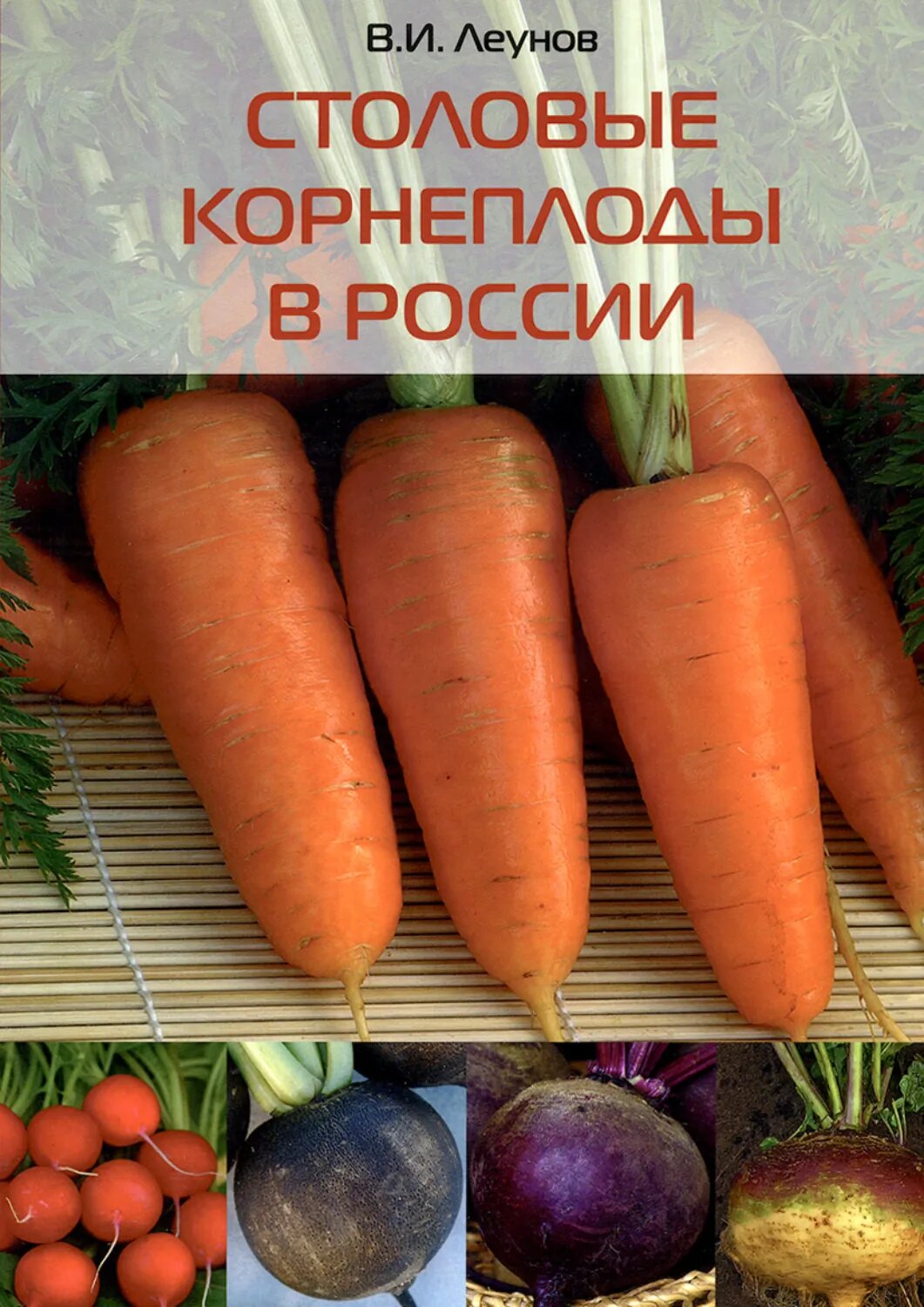 Столовые корнеплоды в России [Цифровая книга]