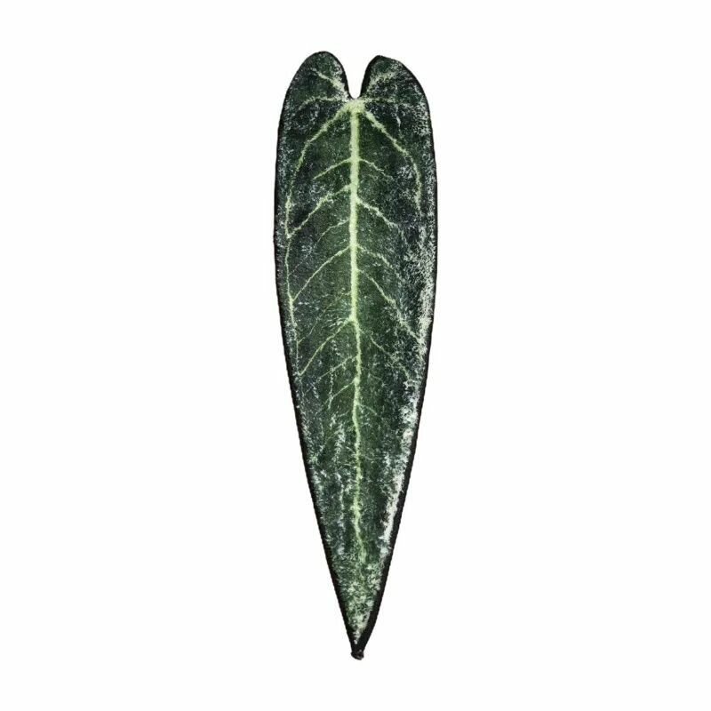 Ковер из искусственного кашемира, неправильной формы, с узором в виде растения монстера, нескользящий коврик для дивана, спальни, гостиной, прикроватный коврик, коврик в виде листа.