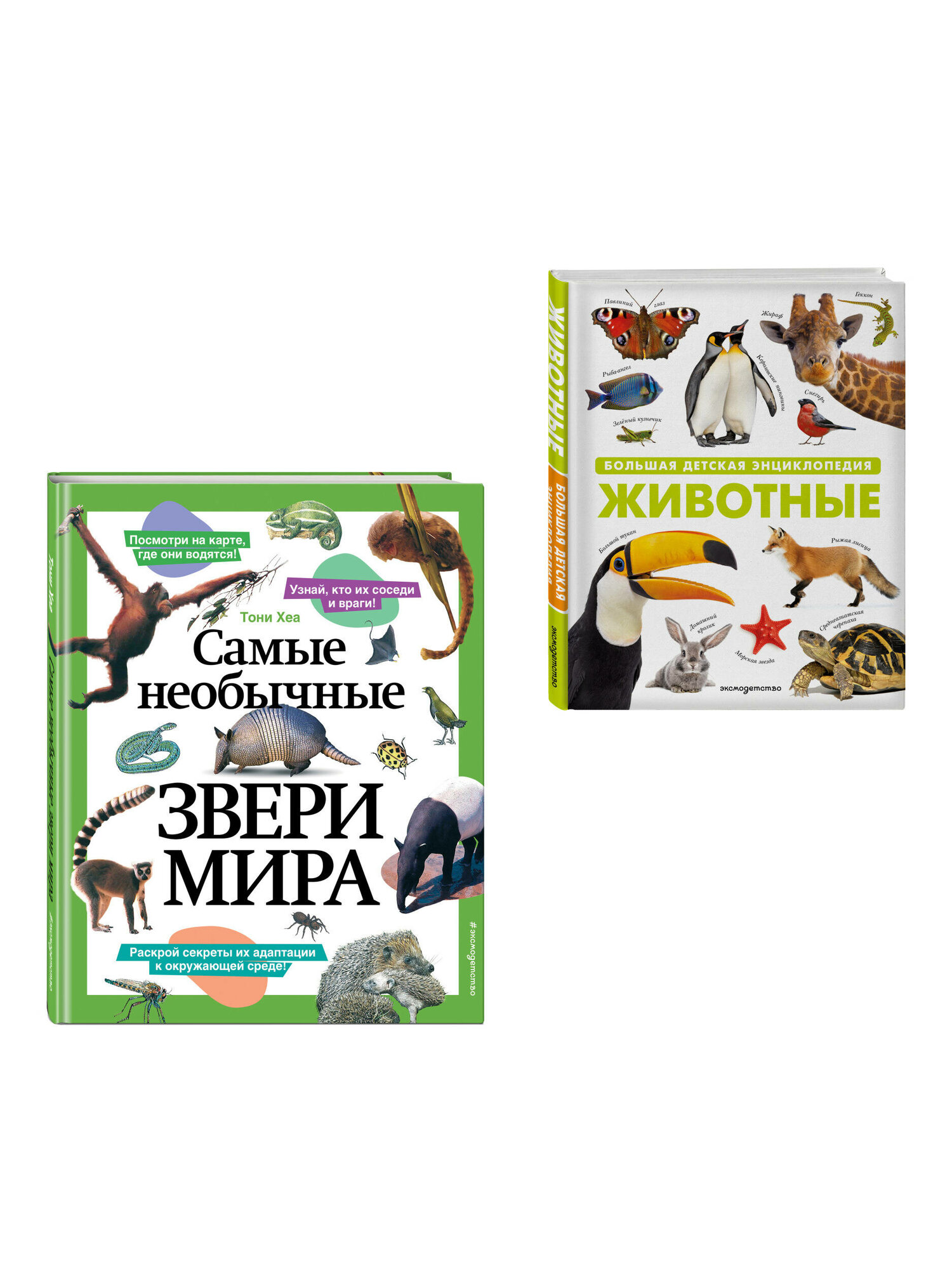 Комплект из 2 книг. Энциклопедии о животных мира (ИК)