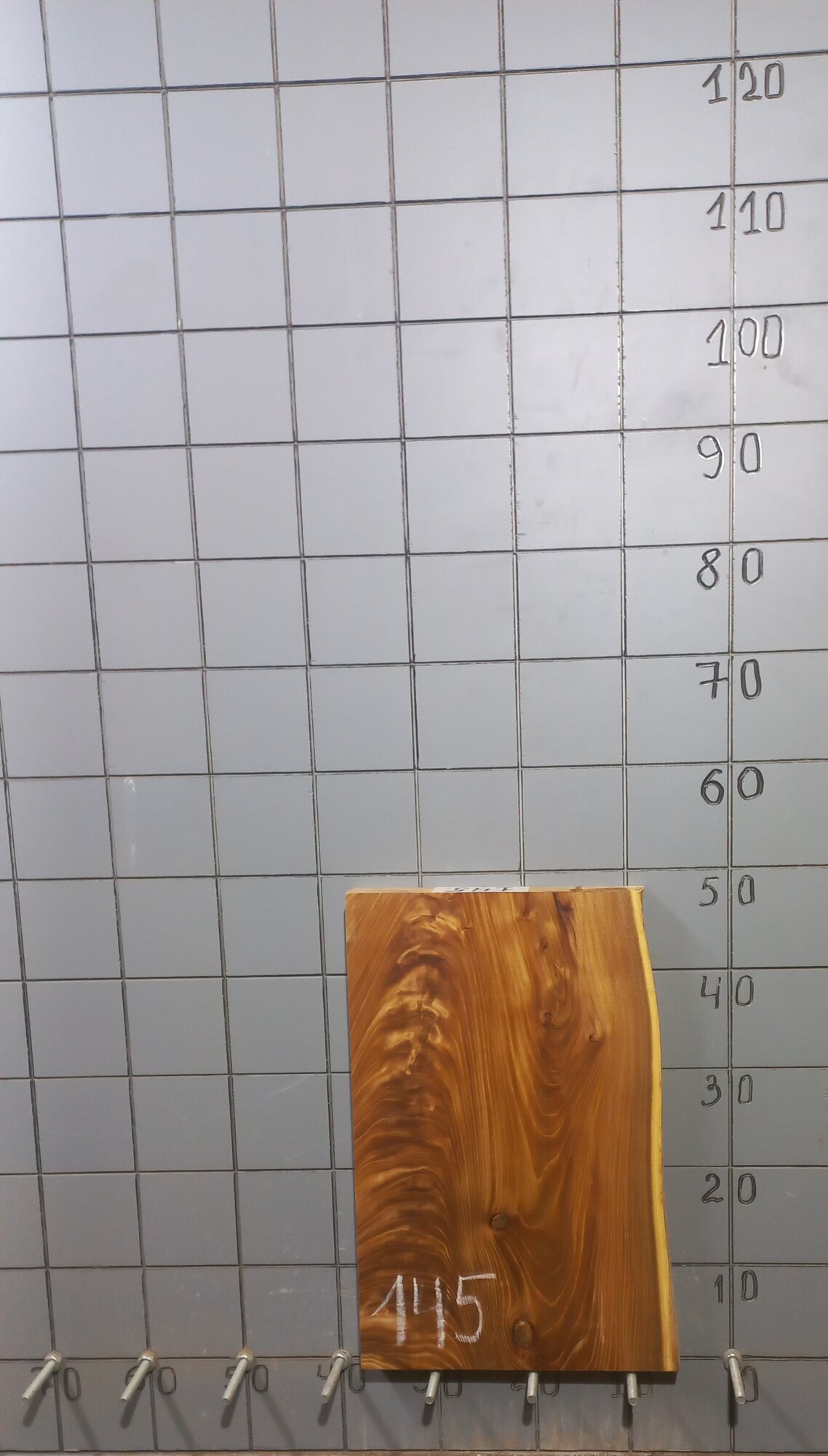 Заготовки для полок Доклес №145, карагач, цельные, сухие, длина 47 см