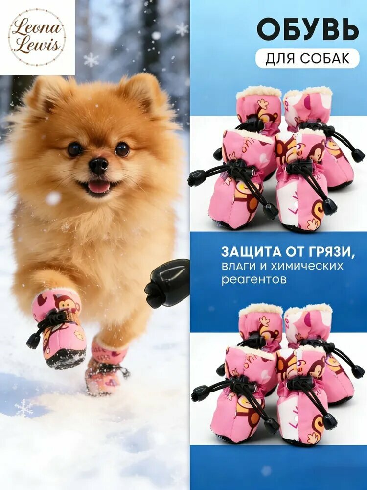 Обувь для собак