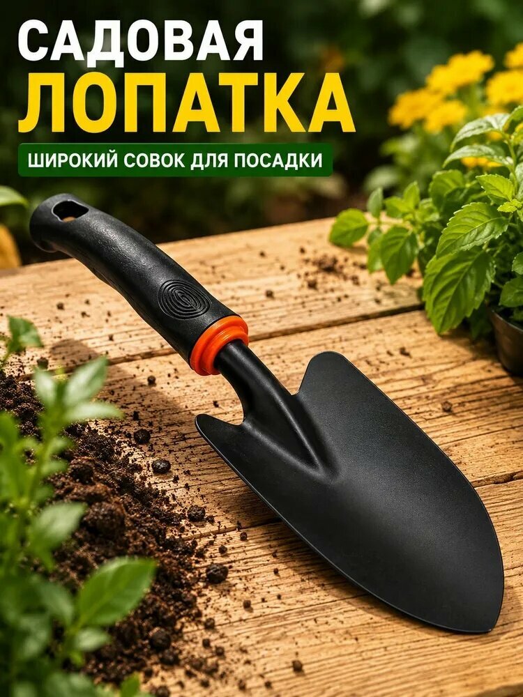 Кустодер , Плоские, Высокоуглеродистая сталь, 8.5 см