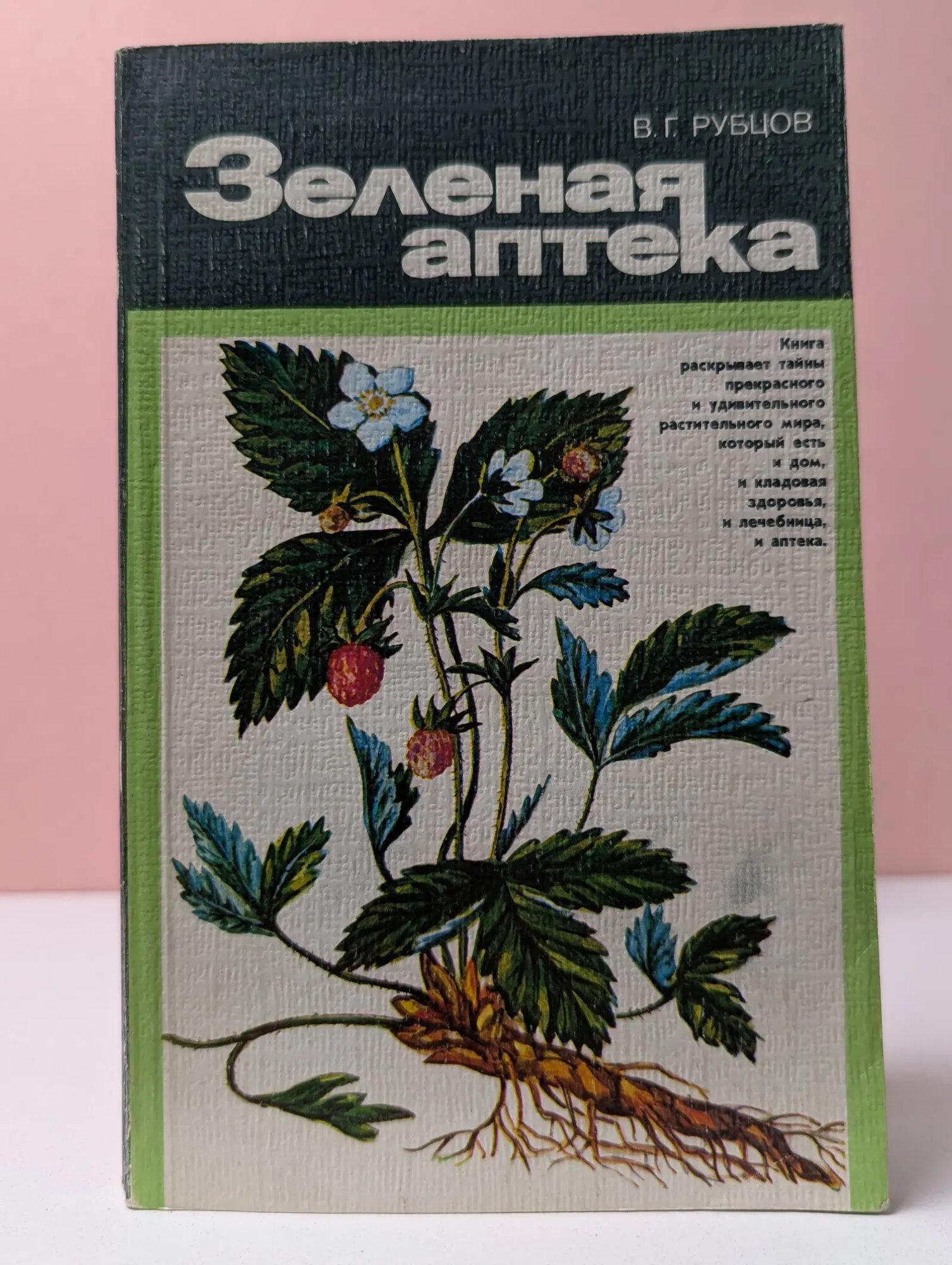 Зеленая аптека Рубцов Валентин Геннадьевич 1984