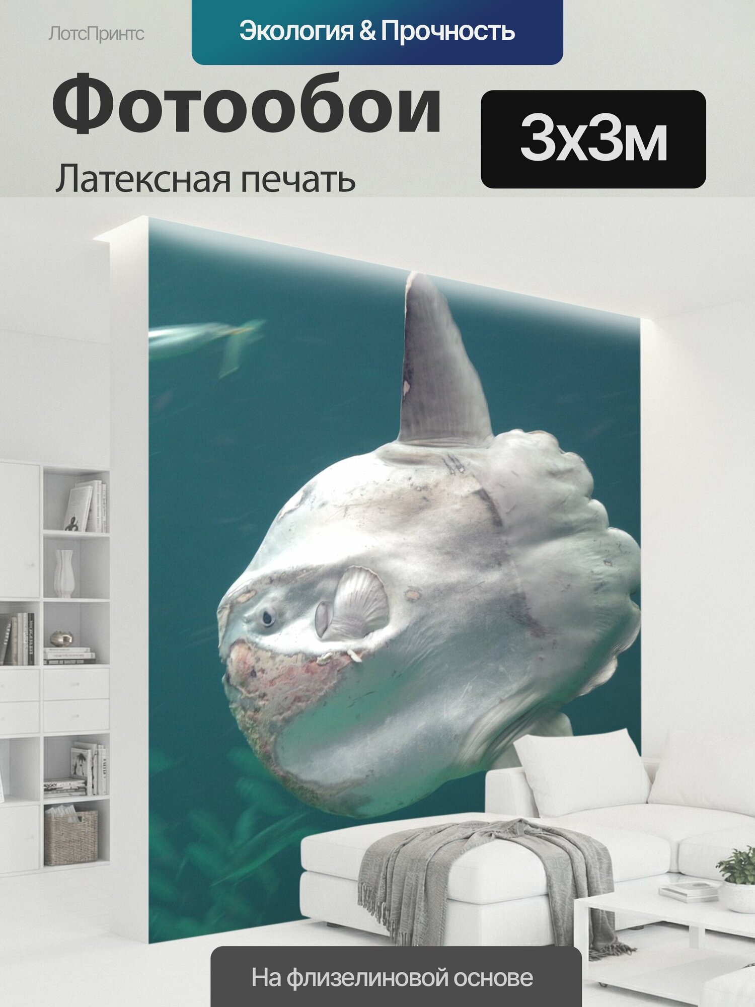 Фотообои моющиеся ударопрочные "Луна-рыба, klumpfisk, кости рыбы" 300x300 см. латексная печать