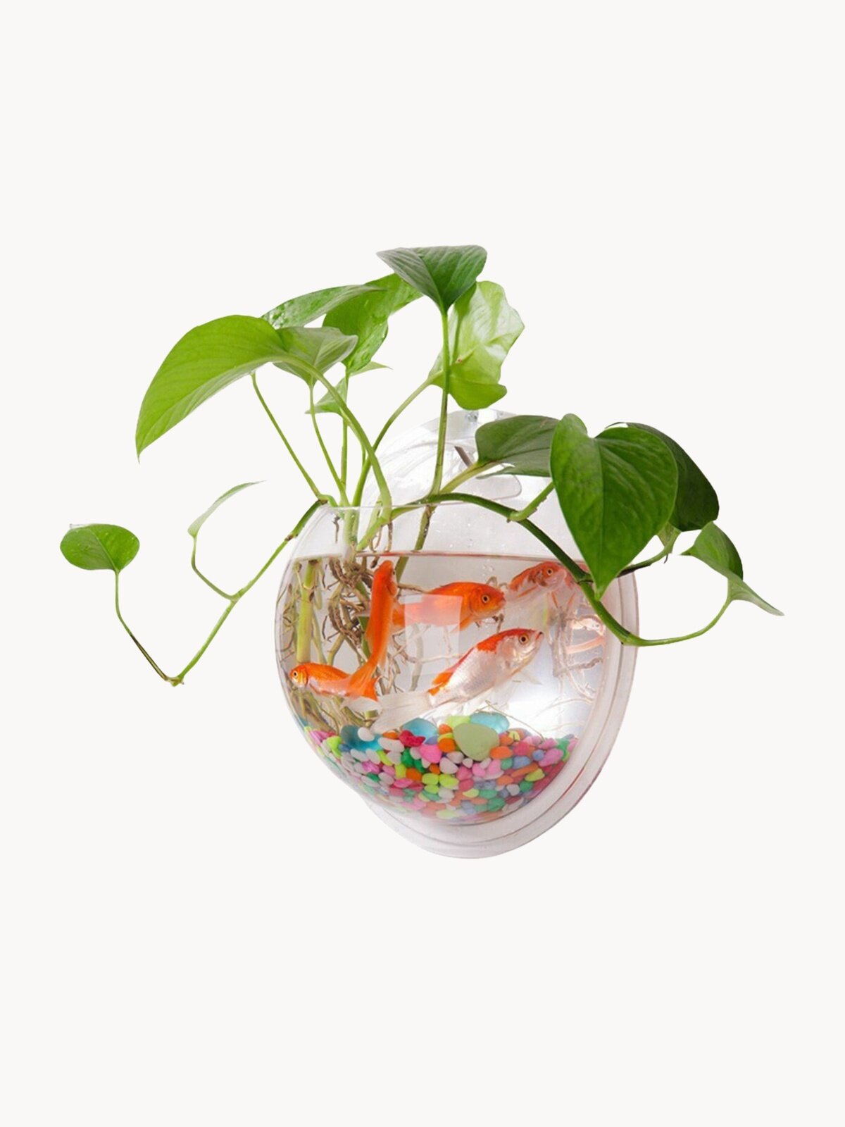 Настенный аквариум из прозрачного акрила, креативный аквариум для рыбок и растений, украшение дома и офиса, легко вешается на стену