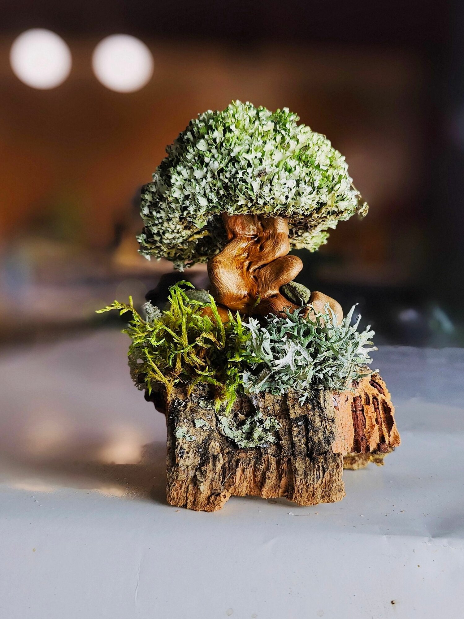 Статуэтка деревце с живой цетрарией. Оригинальный декор для дома и офиса