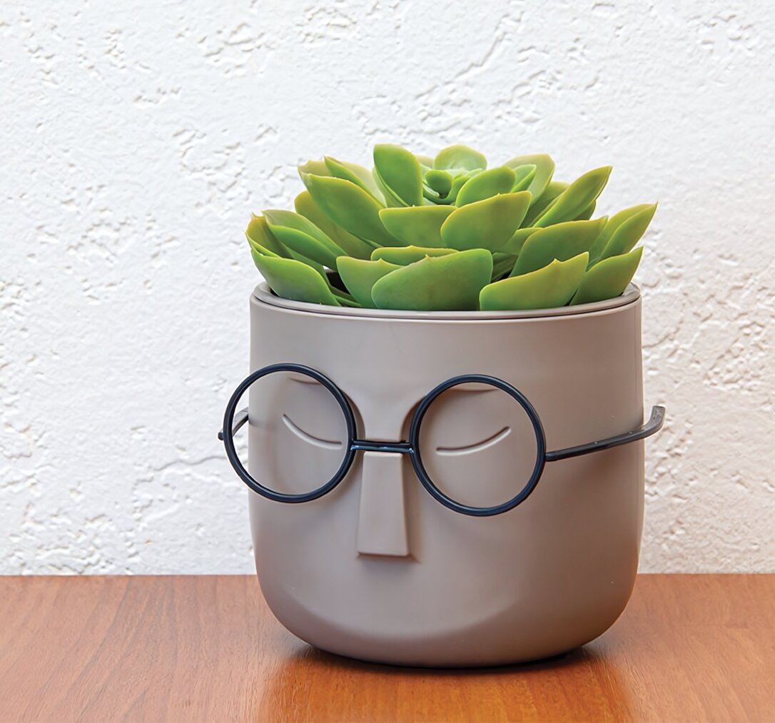 Кашпо «стив» с дренажной вставкой, D115мм, 0,65л, серый, дизайн с очками для растений и канцелярии