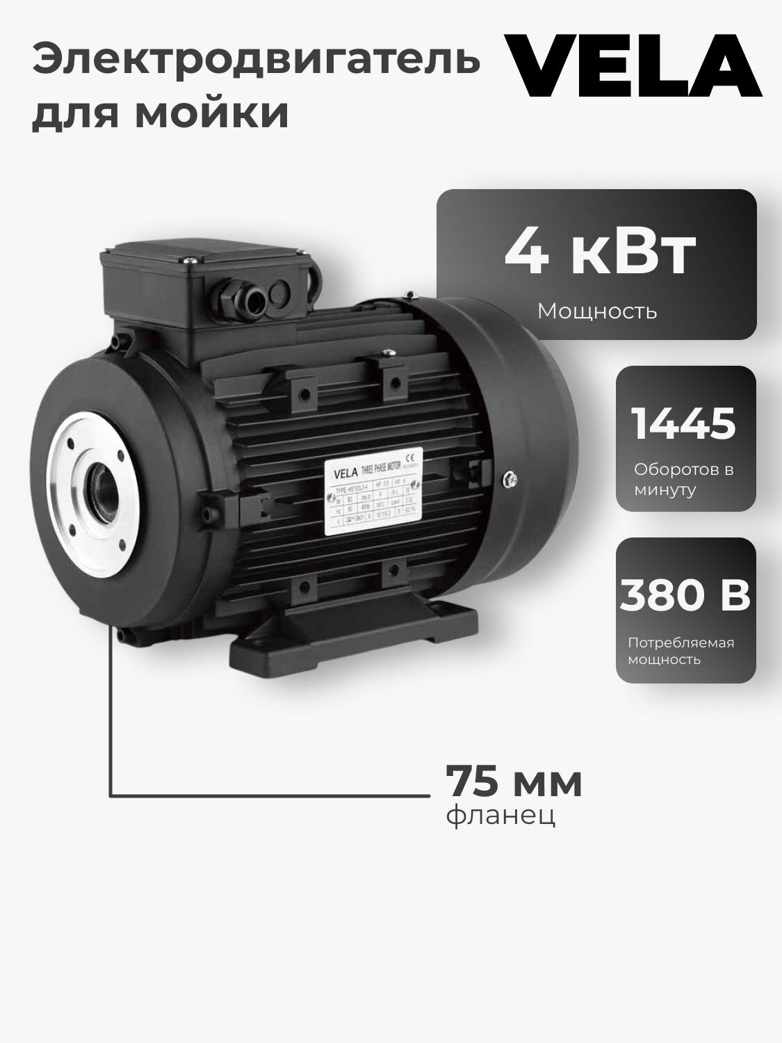 Электродвигатель для мойки VELA 4 кВт (400 В) фланец 75 мм