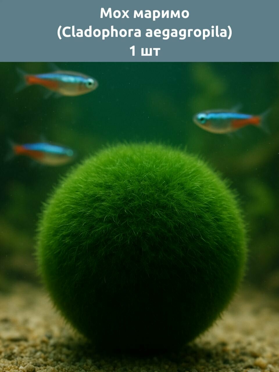 Декорация для аквариума