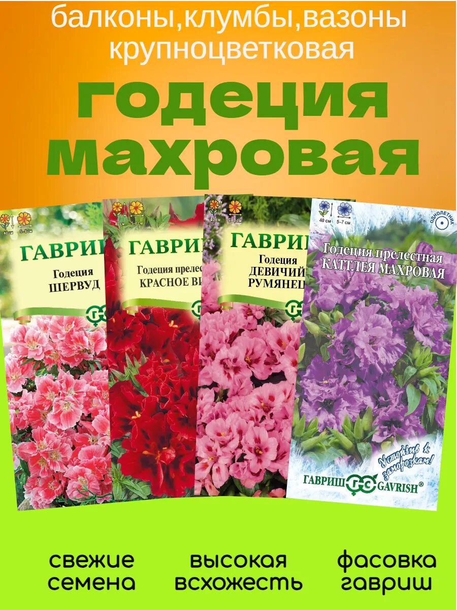 Годеция крупноцветковая махровая семена набор 4 пакета