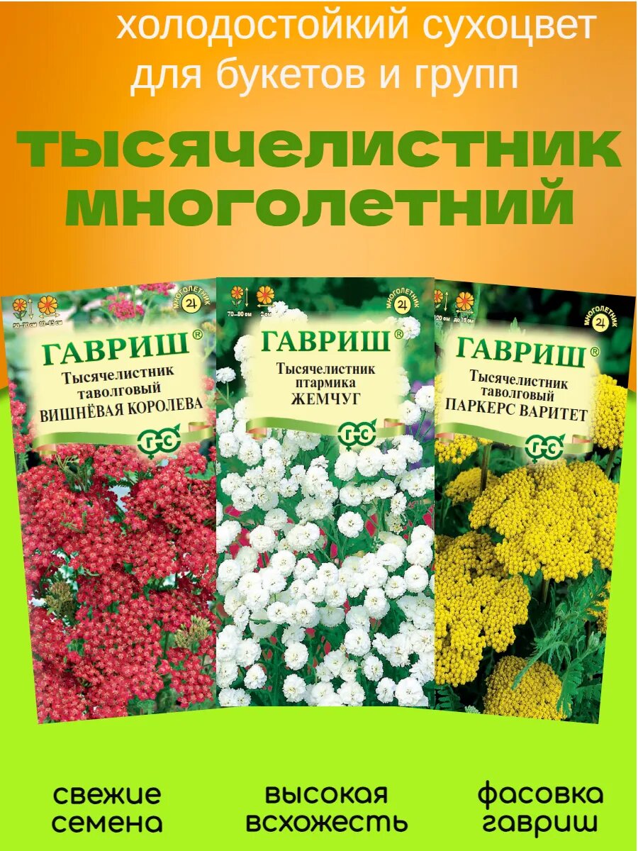 Семена тысячелистник набор 3 пакета