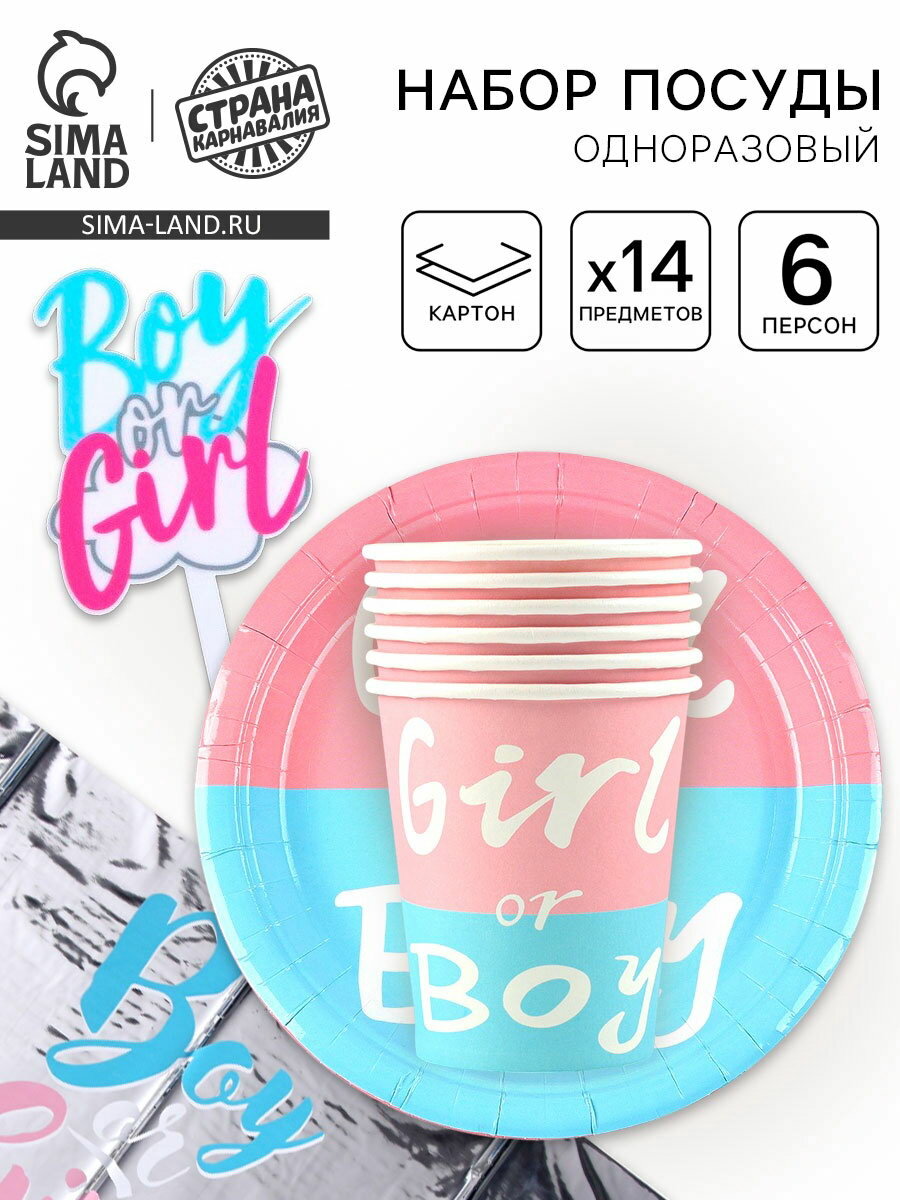 Посуда одноразовая бумажная для праздника "Гендер Пати", на 6 персон, 14 предметов