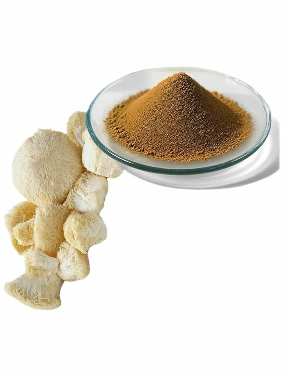 150 г Порошок экстракта грибов львиная грива ( Lion's Mane ) в соотношении 30:1