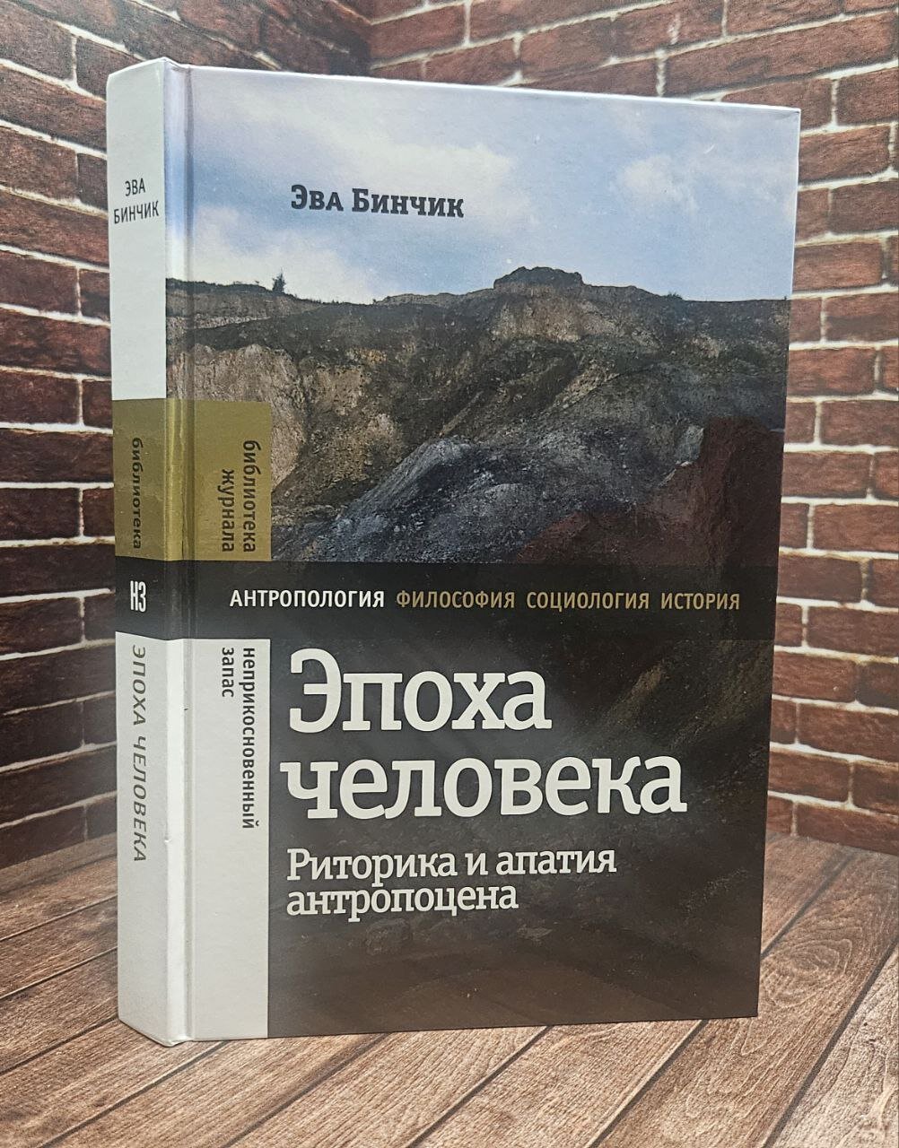 Эпоха человека: риторика и апатия антропоцена Бинчик Э. 2022 год