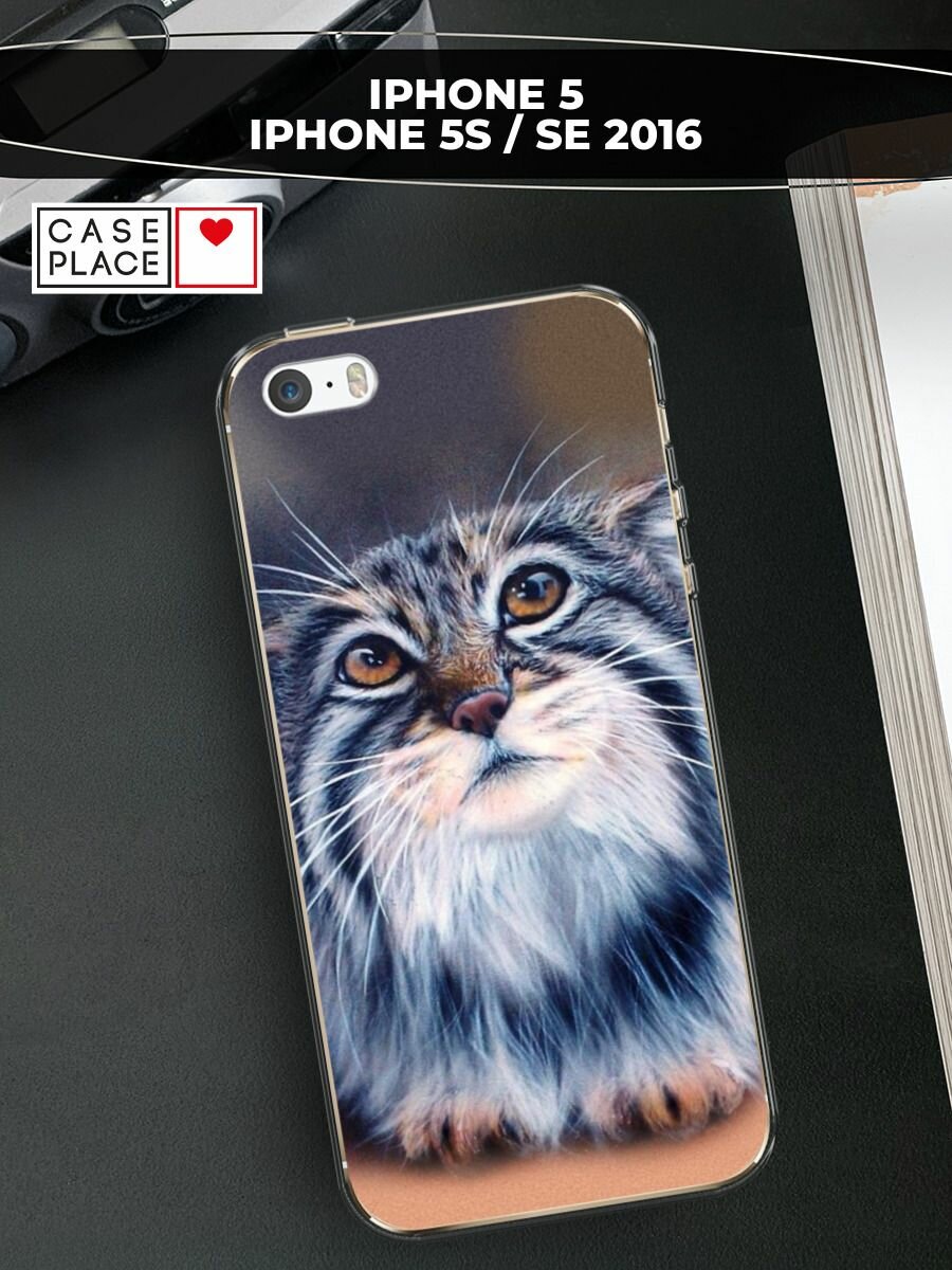 Чехол на Apple iPhone 5/5S/SE / Айфон 5/5S/SE с принтом "Кот манул 2"