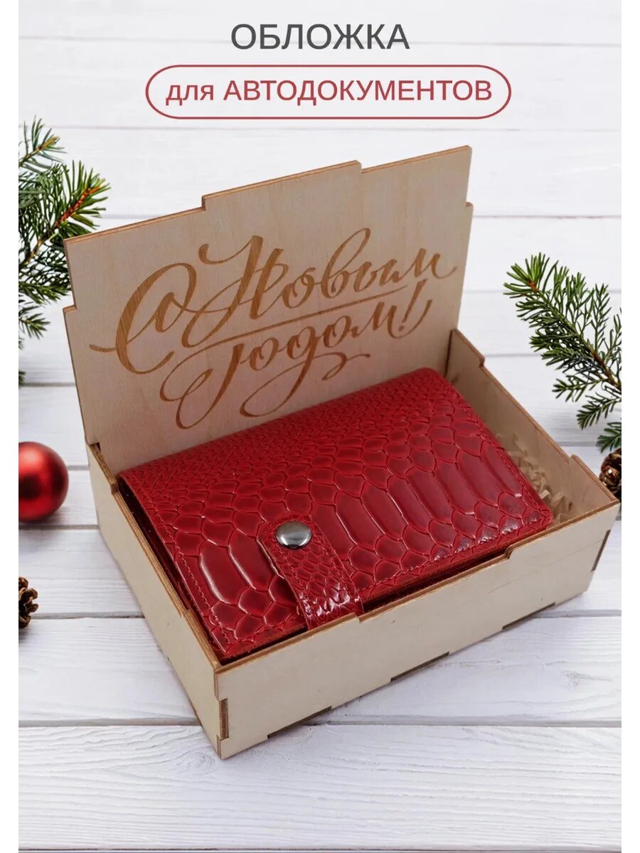 Обложка для автодокументов