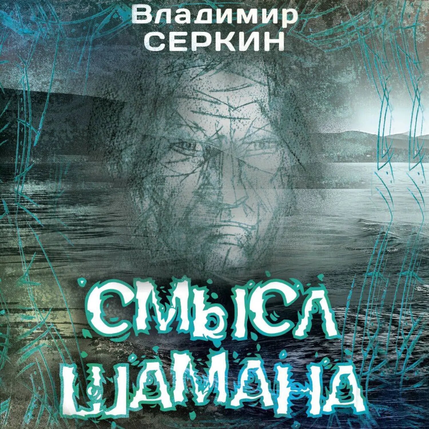 Смысл шамана [Аудиокнига]
