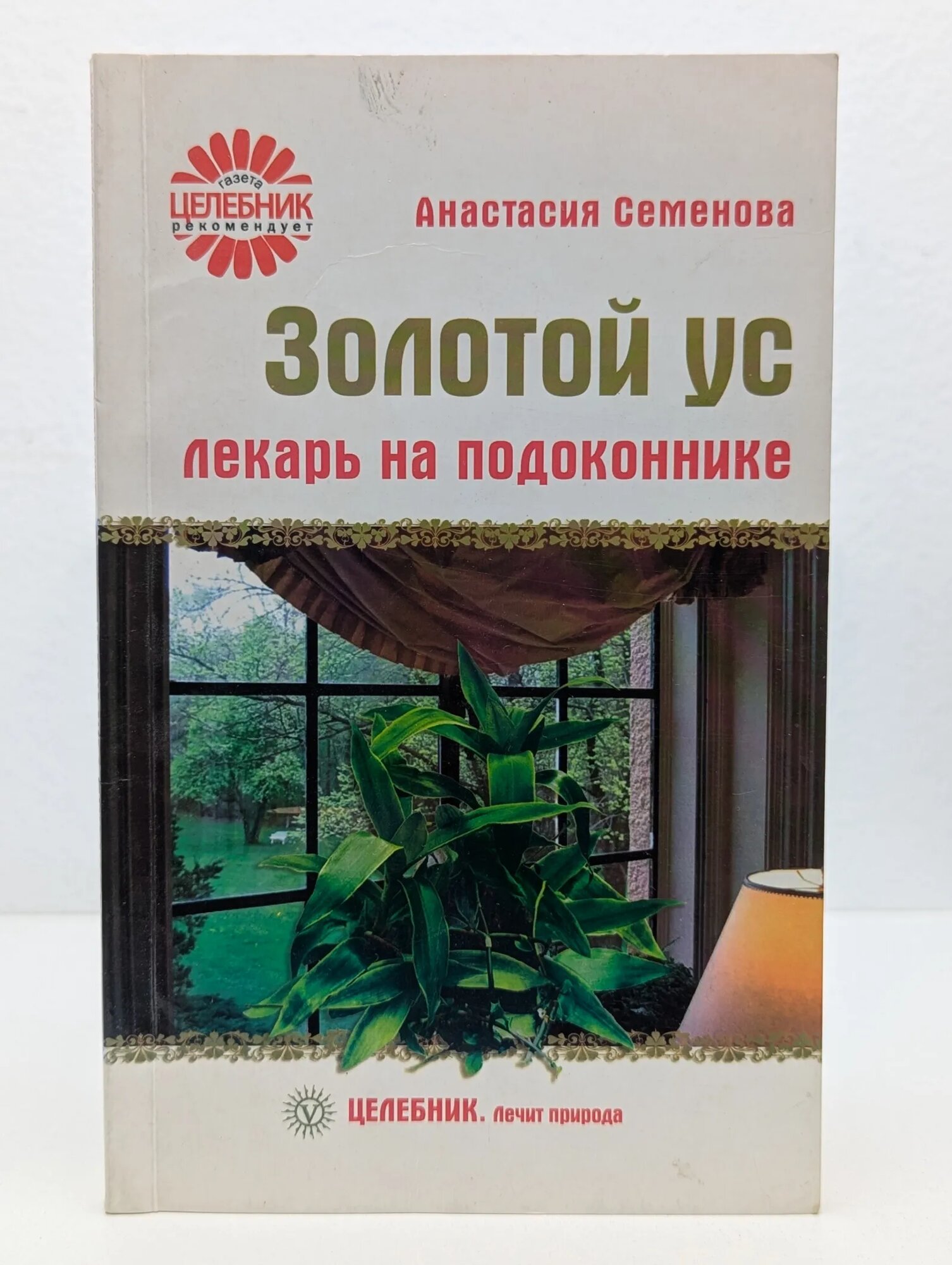 Золотой ус — лекарь на подоконнике Семенова Анастасия 2010