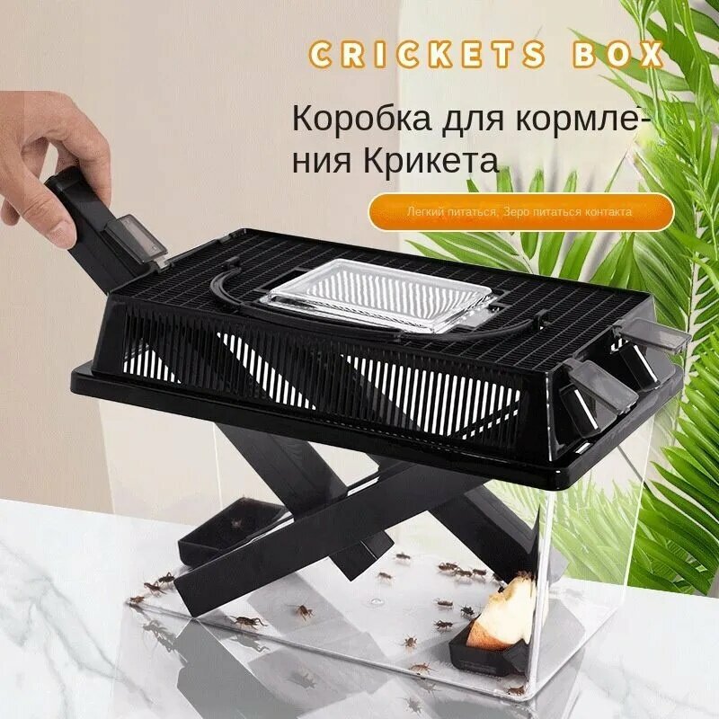 Контейнер для живого корма, забор для сверчков большого размера, виварий для сверчков и тараканов 270*170*180 мм